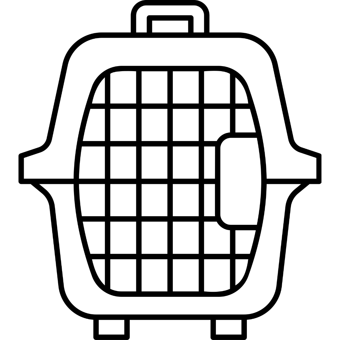 Prepravky do auta pre mačky (18+ Produktov) | barfi.sk